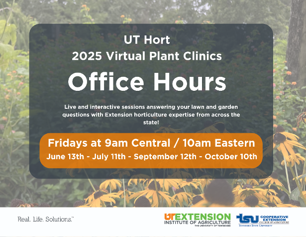 Madison County Master Gardeners